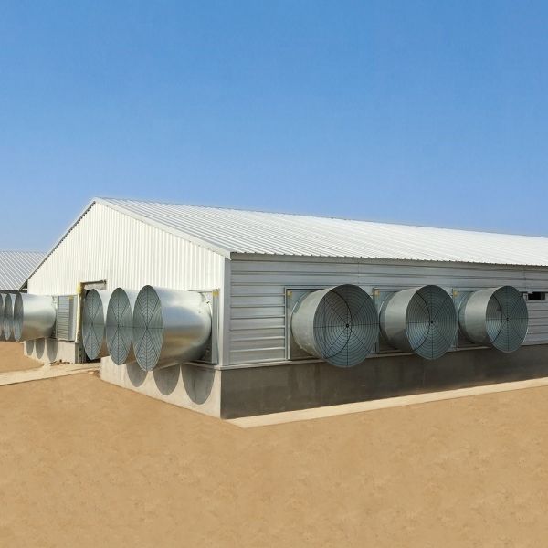 Quality Industrial-Style Modern Steel Structure Chicken House Farm Poultry Shed Design for Hotel for sale