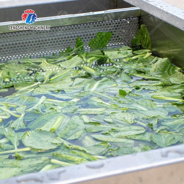 Quality Single cylinder fruit and vegetable washing machine with slag separator Leaves for sale