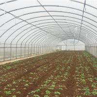 Quality Film Cover Single-Span Agricultural Greenhouses for Agricultural Cultivation for sale