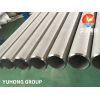 china Duplex Steel Pipes , Super Duplex Pipes, A789, A790 , A928 S31803(2205) S32750