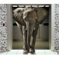 Quality Manganese Steel Cargo Elevator 20 Tons 8m Freight Lift for sale