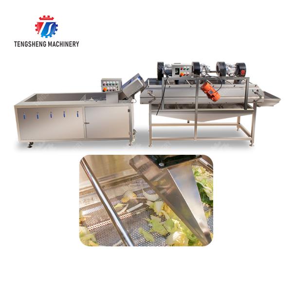 Quality Bubble washing vibration air drying production line Orange Vegetable Herbs Fruit for sale