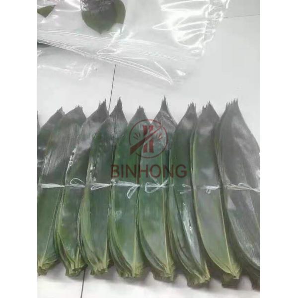Quality Fresh Pollution Free 35cm Chinese Bamboo Leaves for sale