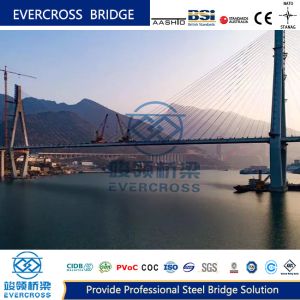 Quality Composite Box Girder Bridge Prefabricated Steel Bridge OEM / ODM Available for sale