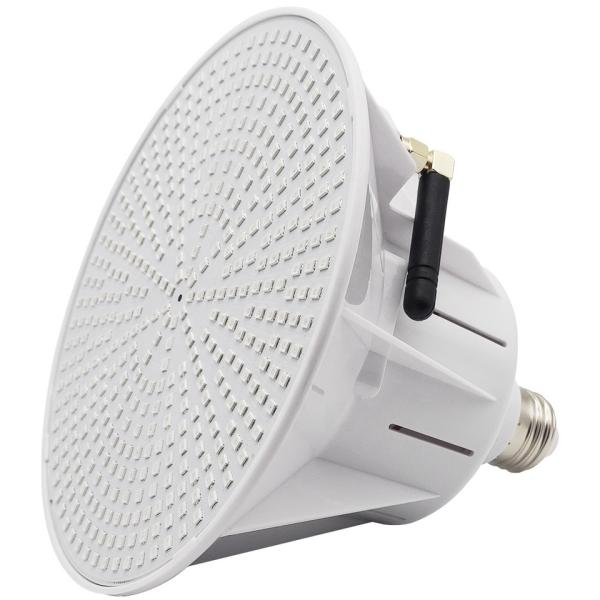 Quality AC/DC 12V/24V IP68 LED Pool Lighting for sale