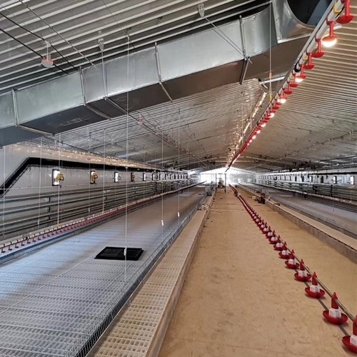 Quality 90 Degree Chain Automatic Pan Feeding System for sale