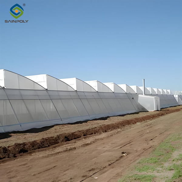 Quality 4m Height Steel Structure Greenhouse Gothic Type Easy Installation for sale