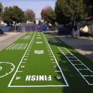 Quality Gym Flooring Turf for sale
