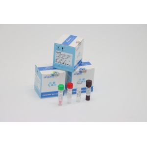 Quality Lab Using RT PCR Covid Test Kits Clinical LP Virus PCR Media Dual Swab Sample for sale