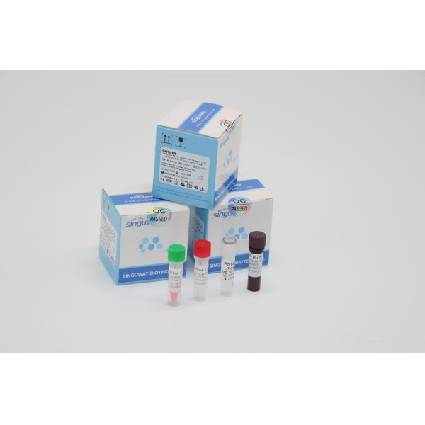 Quality Lab Using RT PCR Covid Test Kits Clinical LP Virus PCR Media Dual Swab Sample Kit for sale