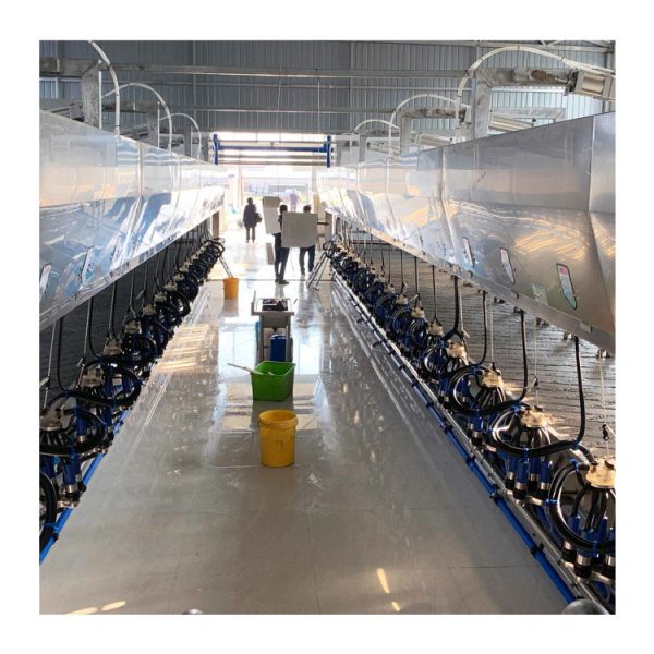 Quality Automatic Parallel Cow  Herringbone Milking Parlor Quick Release for sale