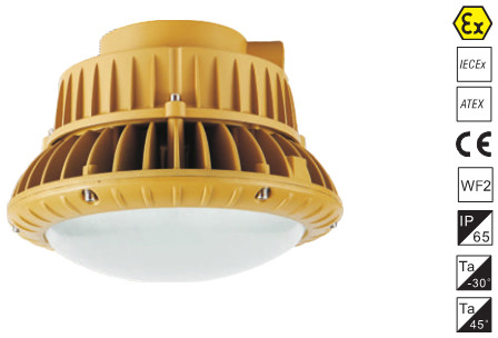 Quality NEW-FBP-100W Explosion Proof LED Spotlight In Moist Area Zone1 Zone 2 for sale