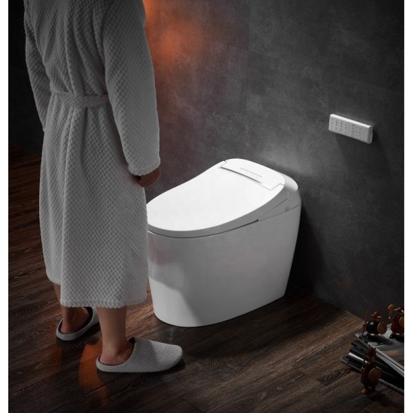 Quality Advanced Function Automatic Deodorization Toilet Integrated Multi-Function for sale