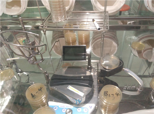 Quality Sterility Testing Of Medical Devices Biological Products Test Pump Validation for sale