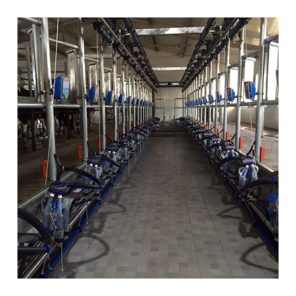 Quality Electric goat Herringbone Milking Parlor with Automatic system for sale
