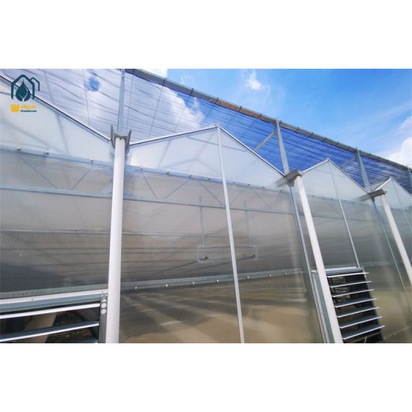 Quality Large Polycarbonate Tunnel Greenhouse Agricultural PC Sheet Greenhouse  for sale