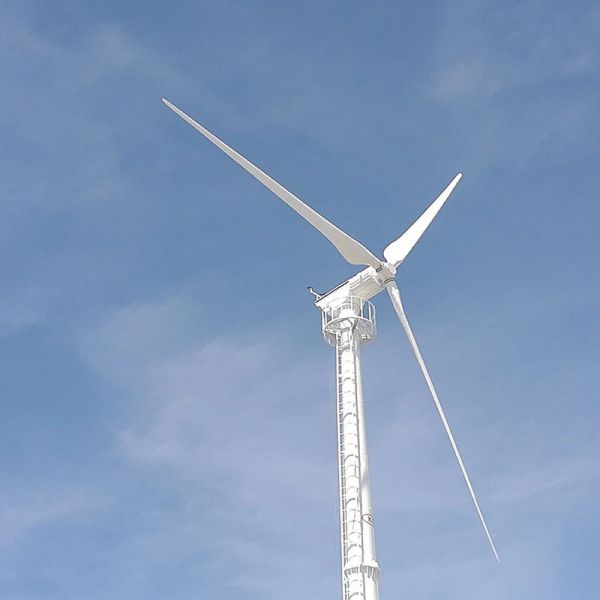 Quality Multi Colors Electric Wind Turbine Generator 30kw 220V AC Wind Generator Glass Fibre Blade for sale