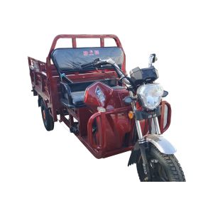 Quality Open Body 33 Shock 120CC Gasoline Tricycle for sale