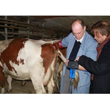 Quality B / W Palm Ultrasound Scanner Animal Ultrasound Scanner Using for Checking Mare for sale