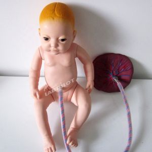 china Advanced PVC Placental Care Model Newborn Baby Manikin for Healthcare Profession