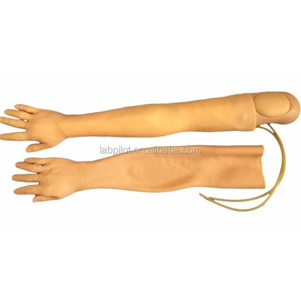 Quality Vivid Arm Model for IV Injection Training Multi-functional Clinical Nursing for sale
