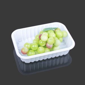 Quality Disposable Fruit Tray for sale