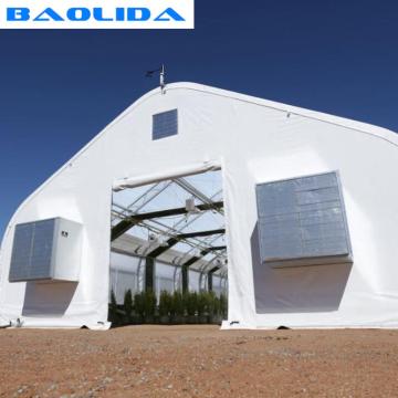 Quality Sides Ventilation Light Deprivation Greenhouse Hot Dip Galvanized for sale