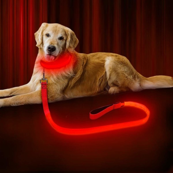 Quality USB Rechargeable LED Dog Leash , LED Reflective Pet Leash 47.2 Inch 120cm for sale