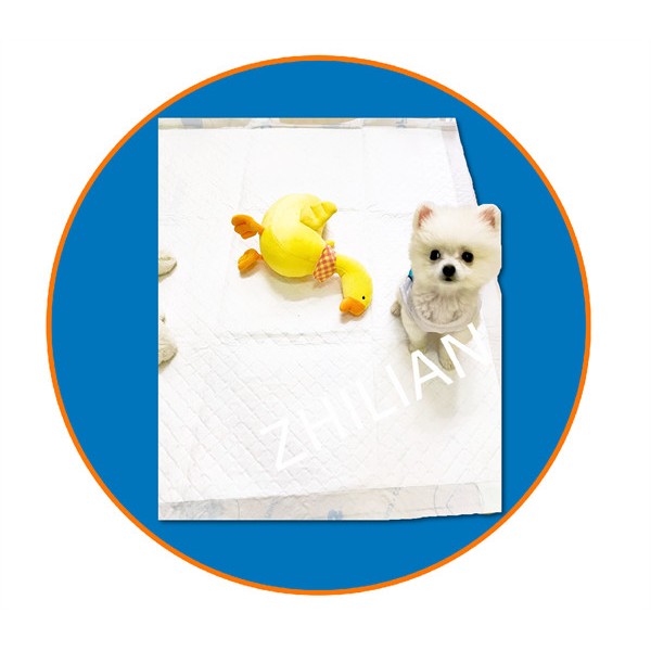 Quality 450mm Width Training Pad Pet Pad Machine 200 m/min for sale