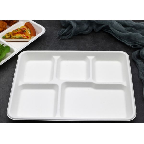 Quality School Disposable Biodegradable Bagasse Tableware 6 5 3 Compartment Lunch Tray for sale