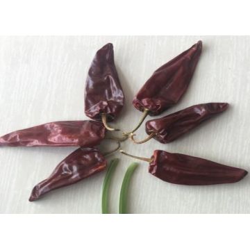 Quality Stemless Dried Guajillo Chile Peppers Heb Block Shape Without Stem for sale