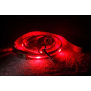 Quality Super Bright Illuminated Dog Leash Runs Over 7 Hours For Dogs Walking Training for sale