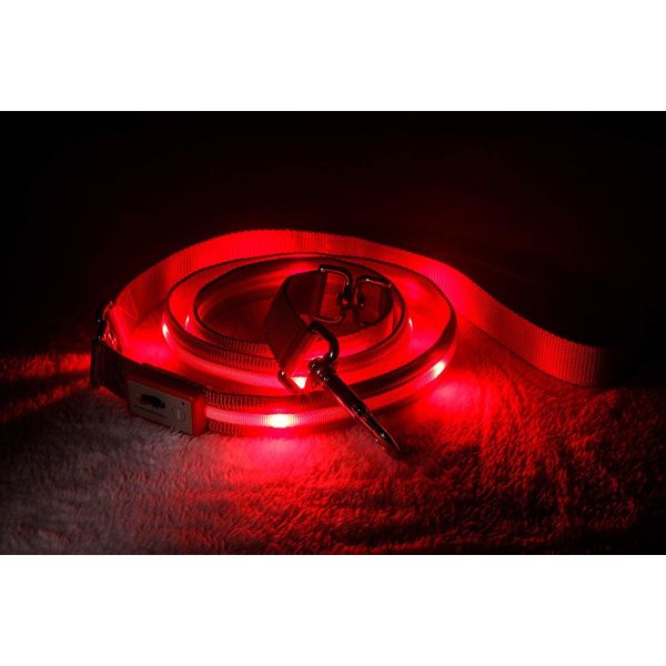 Quality Super Bright Illuminated Dog Leash Runs Over 7 Hours For Dogs Walking Training for sale
