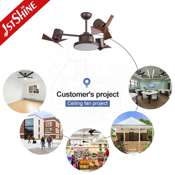Quality ABS Plastic Blades DC 360 Degree Rotating Ceiling Fan 44 Inch 5 Speed Choice for sale