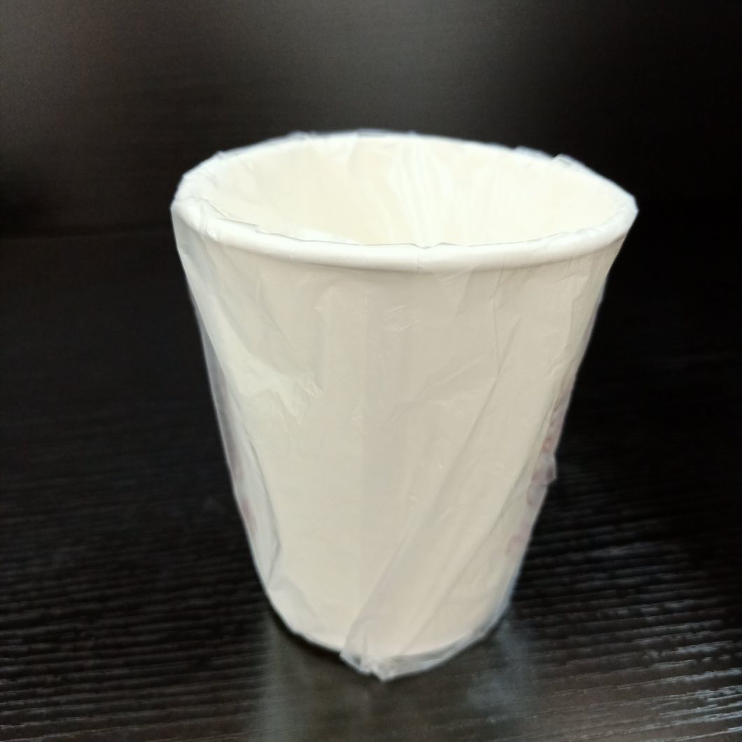 Hot Sale Independent Packing Various Size Disposable Paper Cup for Hotel