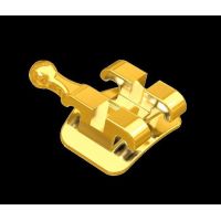 Quality Roth 0.018"/0.022" Gold Orthodontic Braces The Perfect Blend of Luxury and for sale