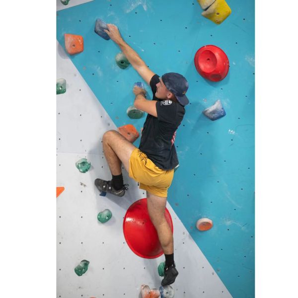 Quality Kids Training Climbing Wall Board Customized Size Diy Rock Climbing Wall for sale
