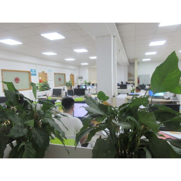 China Factory - Summit Inspection& Consulting Co.,Limited