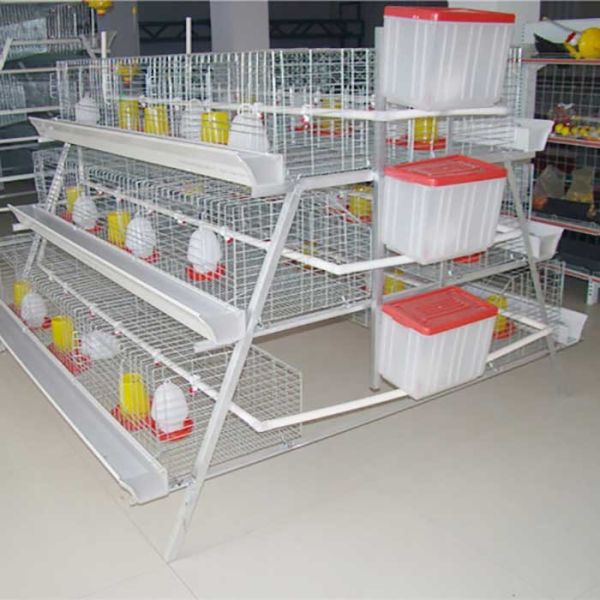 Quality A Type 198 Birds Layer Chicken Cage Poultry Farming Equipment for sale