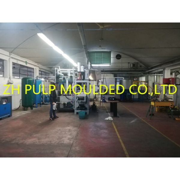 Quality Bagasse Eco Friendly Pulp Plate Making Machine 1T For Tableware for sale