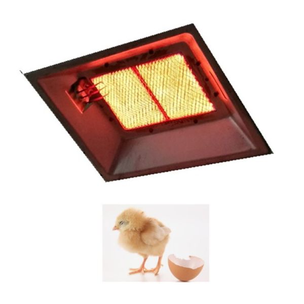 Quality Wall Mounted Infrared Brooder Heater Indoor Ceramic Heater For Birds Purple for sale
