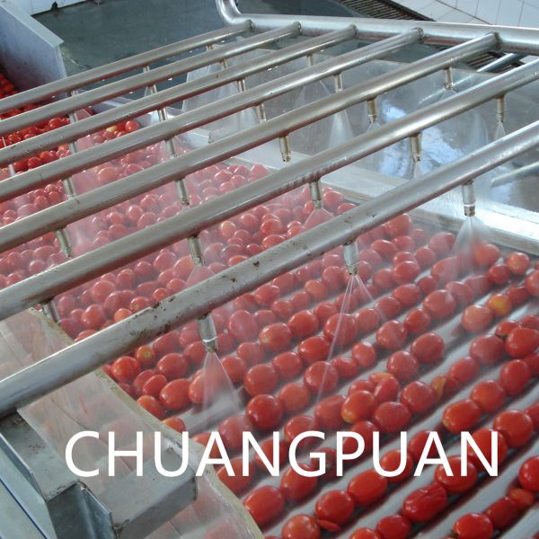 Quality Tomato Paste Production Line|Energy-Saving 1-10T/H Aseptic Bag Package Tomato for sale