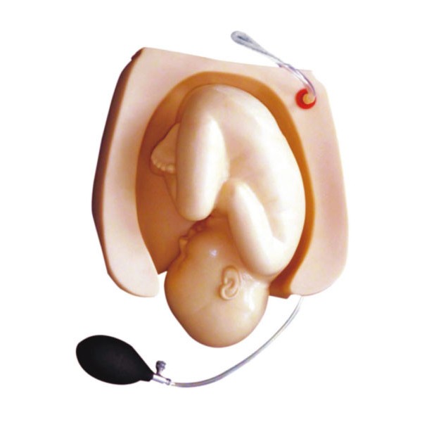 Quality Soft Cushion Child Birth Simulator for Leopold Maneuver , Medical Training Models for sale