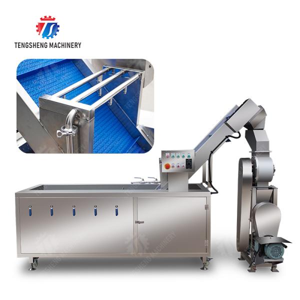 Quality Washing and juicing production line Fruit Orange Leaves Vegetables sward beans for sale