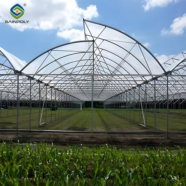 Quality Customization Commercial Gothic Type Greenhouse With Electric Systems for sale