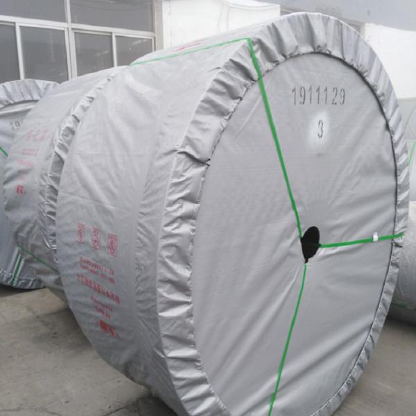 Quality OEM EP200 Chemical Resistant Special Conveyor Belts for sale