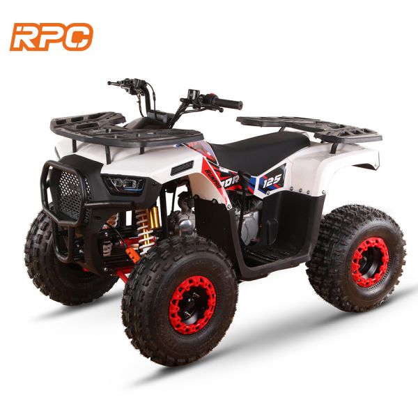 Quality 110cc 125cc 150cc 4-Stroke Gas-Powered Kids' Quad Bike ATV for Automatic Transmission for sale