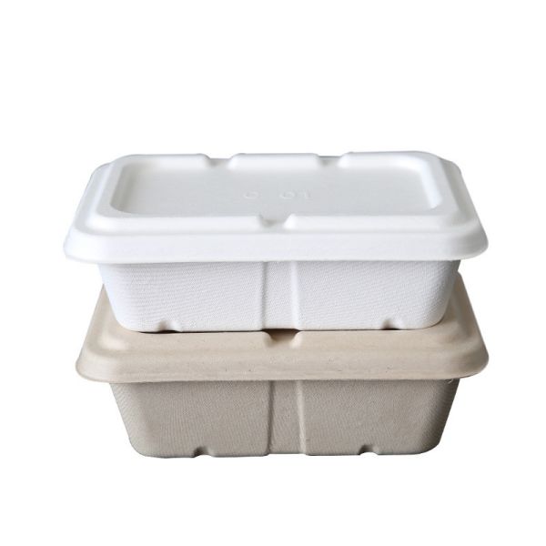 Quality Factory 100% Biodegradable Compostable Bagasse Pulp Packaging Food Container for sale