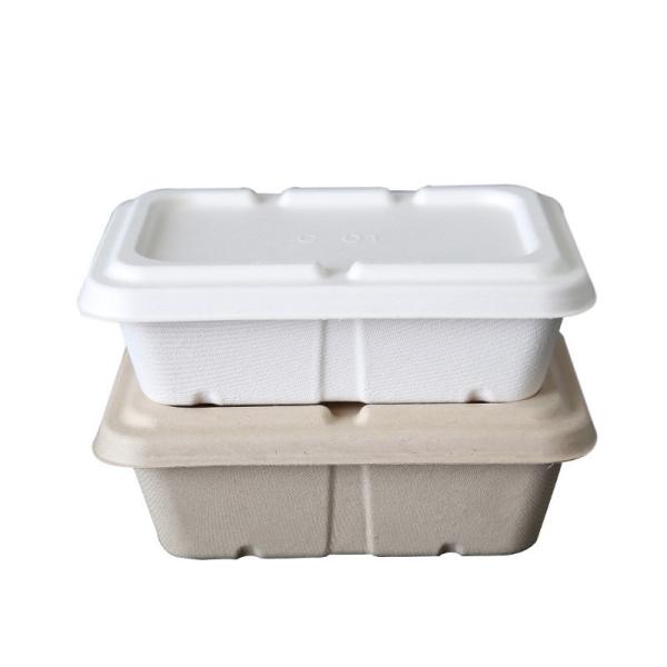 Quality Factory 100% Biodegradable Compostable Bagasse Pulp Packaging Food Container for sale