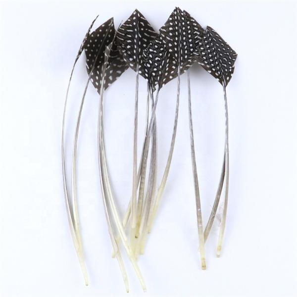 Quality Raw Pattern Millinery Feather Arrow Head Guinea Fowl Feather Quill Fast Shipping for sale